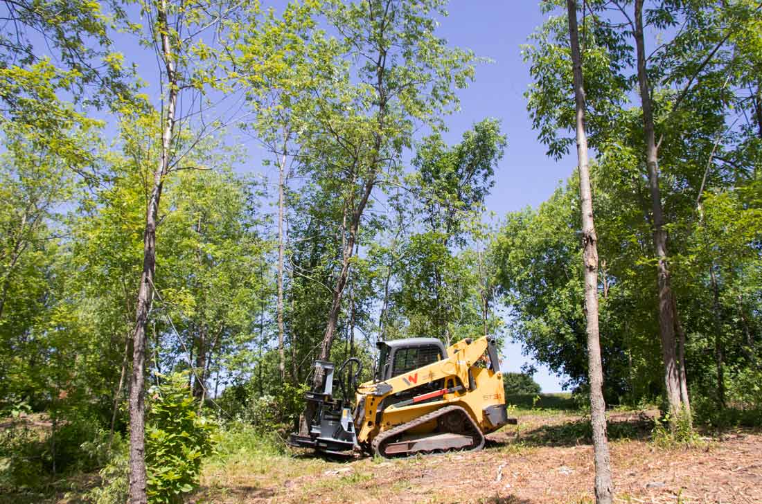 BaumaLight - Tree-shears - ISR712G